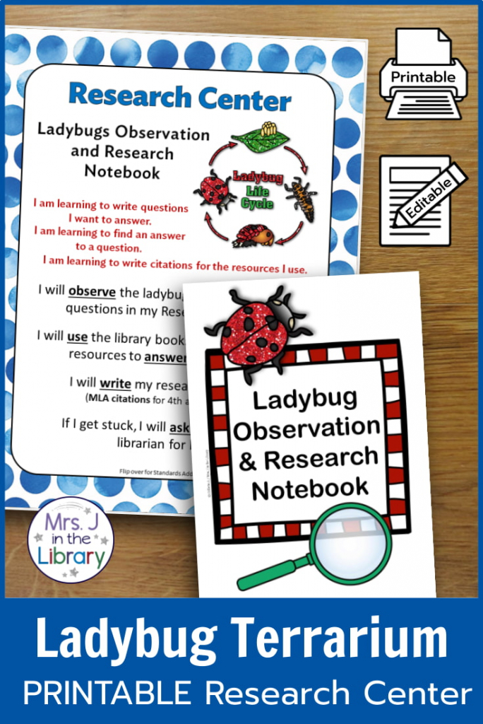 Ladybugs Observation & Research Library Center | Mrs. J in the Library